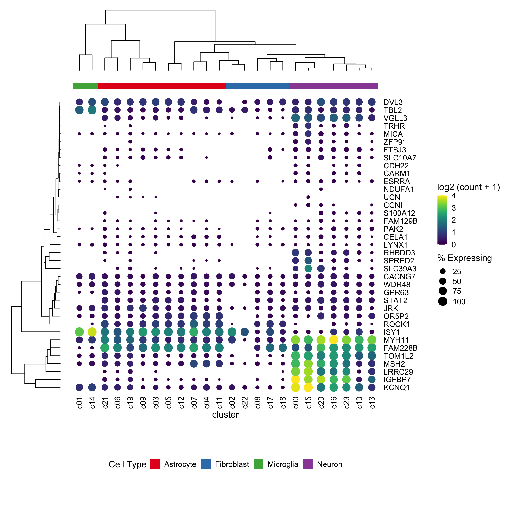 Clustered Dotplot For Single cell RNAseq DNA Confesses Data Speak