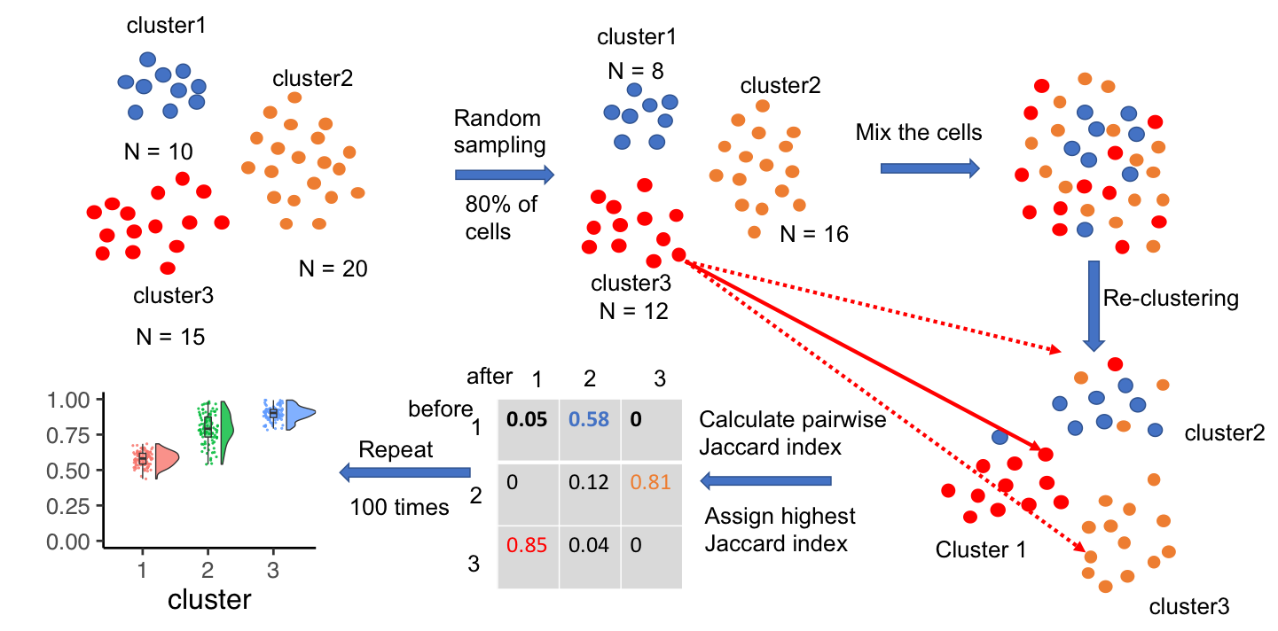 Evaluating Single cell Cluster Stability Using The Jaccard Similarity